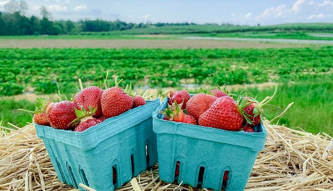 Things To Do in Fishkill NY